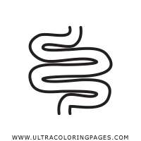 Small Intestine Coloring Pages For Kids - Free Small Intestine Coloring ...